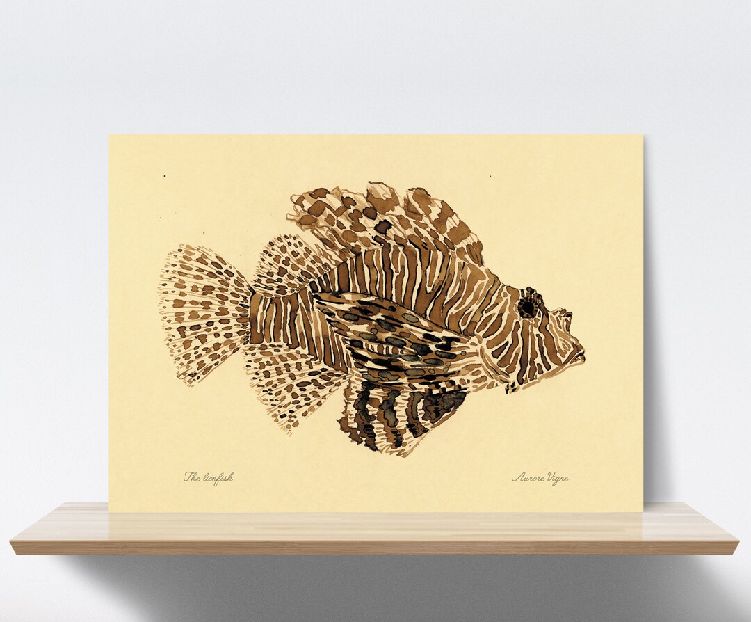Lionfish, Pterois, Zebrafish, Fish, Firefish, Stripes, Marine. Walnut ...