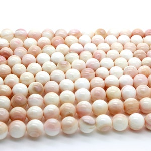 AAA Queen Conch, Natural Pink Queen Conch Shell Smooth Round Ball ...