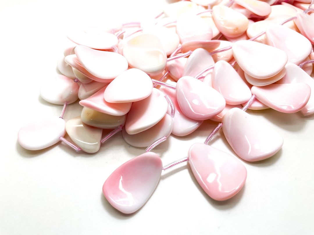 Natural Queen Conch Shell Beads, Pink Queen Conch Shell Petals Flat ...
