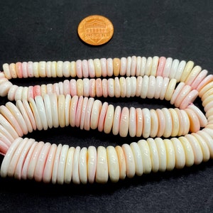 Natural Queen Conch Shell Beads, Pink Queen Conch Shell Flat Round Disc ...