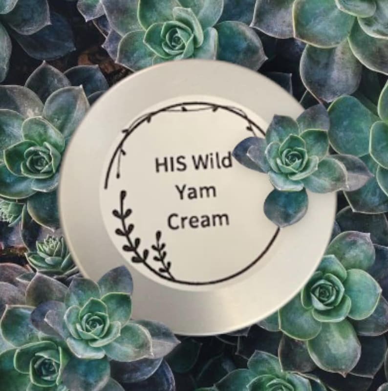Artisanal His Organic Wild Yam Cream for Men, With Vitex, Saw Palmetto ...