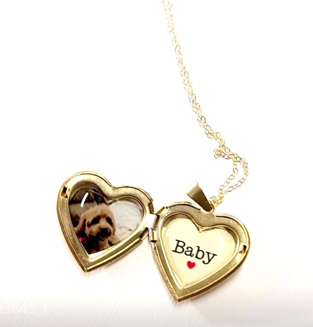 Locket Heart Pet Photo Necklace Photos Memorial Locket Pet, Heart ...