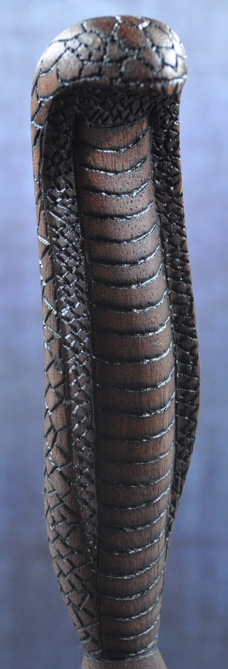 Magic Wand, King Cobra, Wizard, Witch, Sorcerer, Magician, Cosplay ...