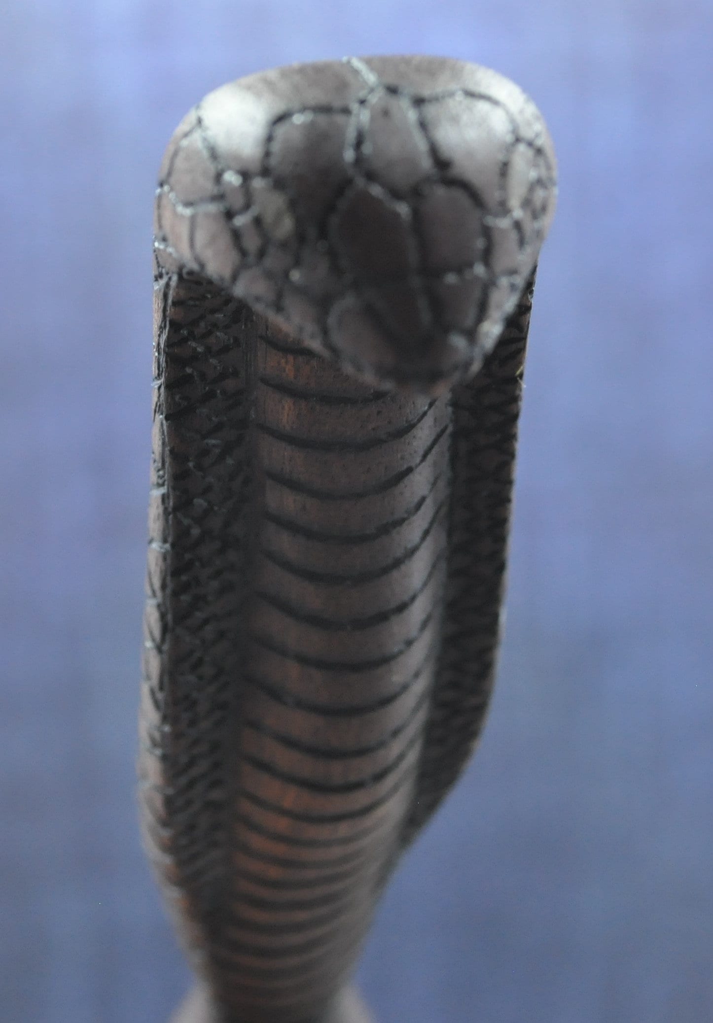 Magic Wand, King Cobra, Wizard, Witch, Sorcerer, Magician, Cosplay ...