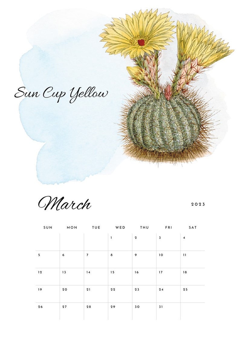 2023 Cactus Calendar Colorful Cactus Images Calendar 2023 Printable A3 ...
