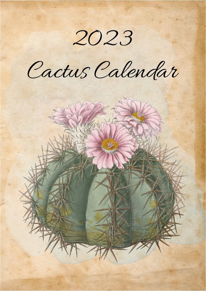2023 Cactus Calendar | Colorful Cactus Images Calendar 2023 | Printable ...