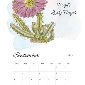 2023 Cactus Calendar | Colorful Cactus Images Calendar 2023 | Printable ...