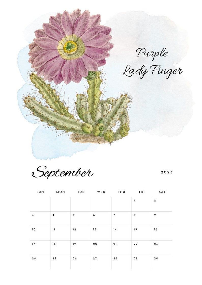 2023 Cactus Calendar | Colorful Cactus Images Calendar 2023 | Printable ...