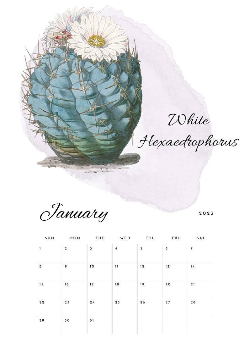 2023 Cactus Calendar | Colorful Cactus Images Calendar 2023 | Printable ...