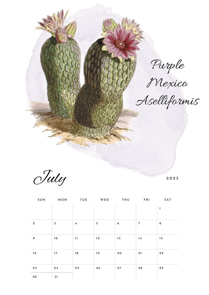 2023 Cactus Calendar | Colorful Cactus Images Calendar 2023 | Printable ...