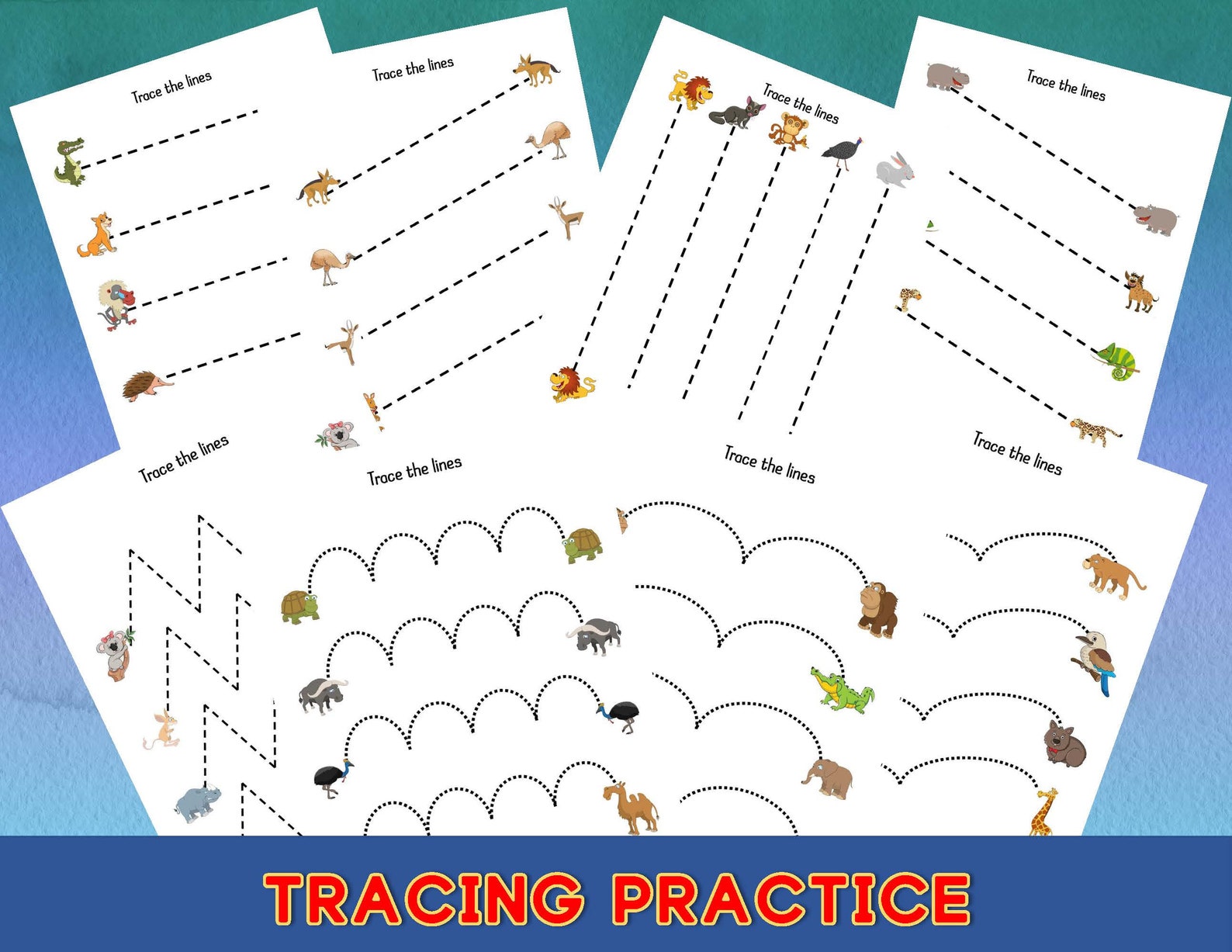 Bugs (insects) Number Flashcards Printable, Homeschool Tracing ...