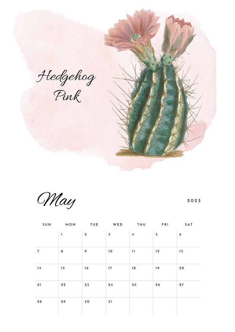 2023 Cactus Calendar | Colorful Cactus Images Calendar 2023 | Printable ...