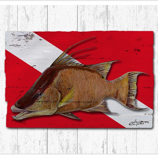 Hogfish - Etsy