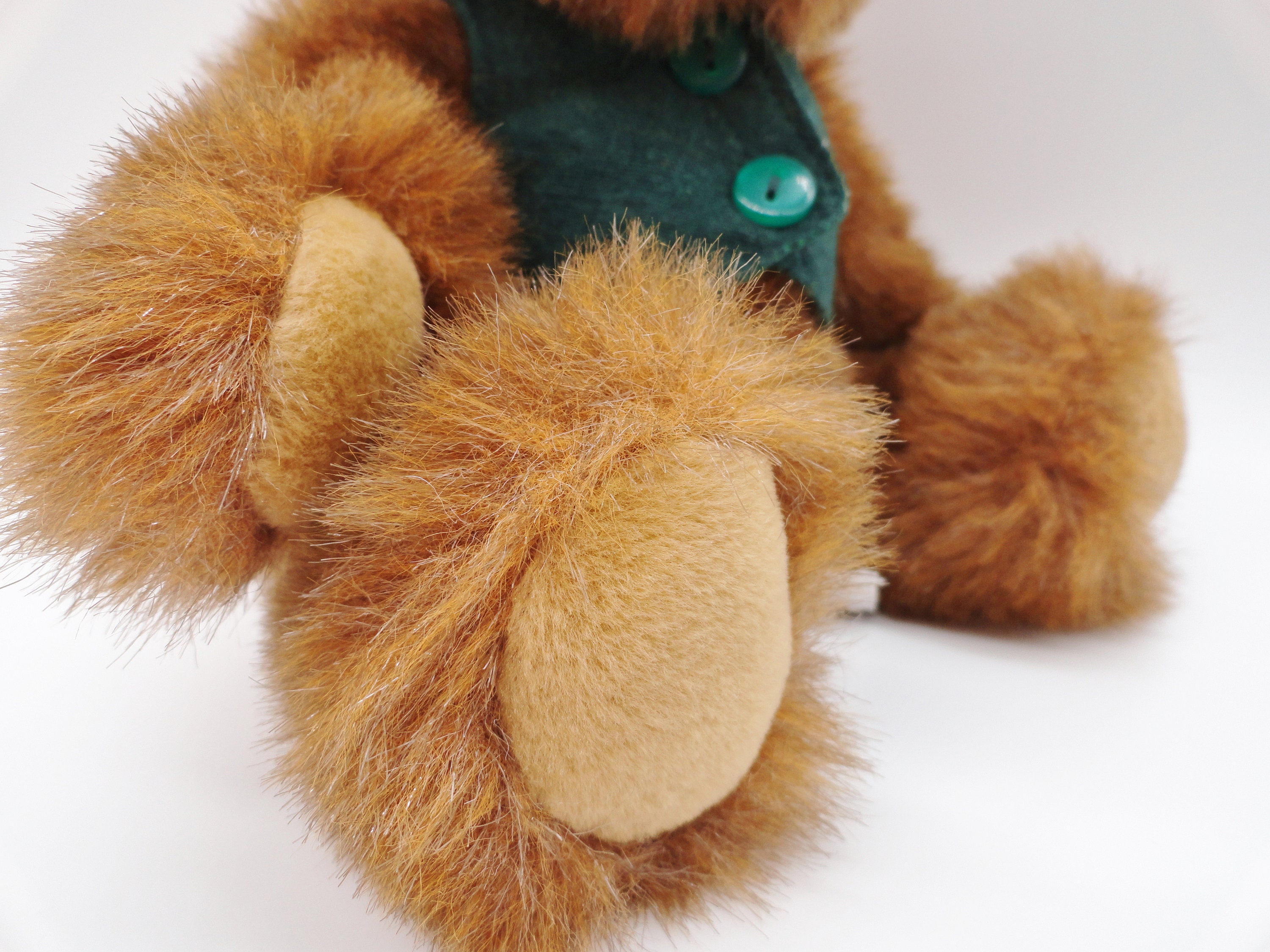 Tulane University Law School, Teddy Bear, Collectible, Graduation ...