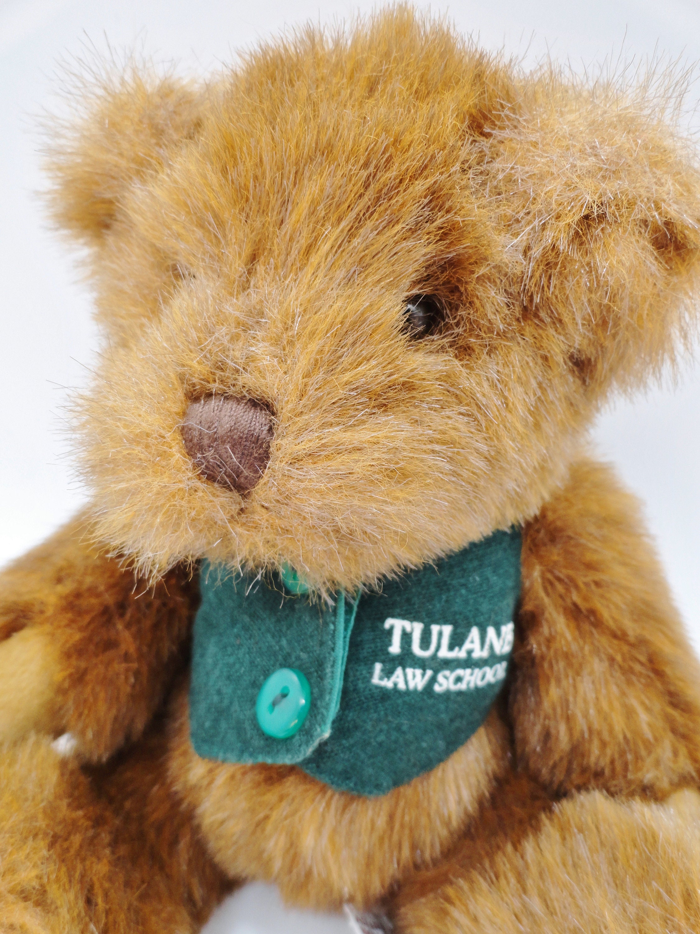 Tulane University Law School, Teddy Bear, Collectible, Graduation ...