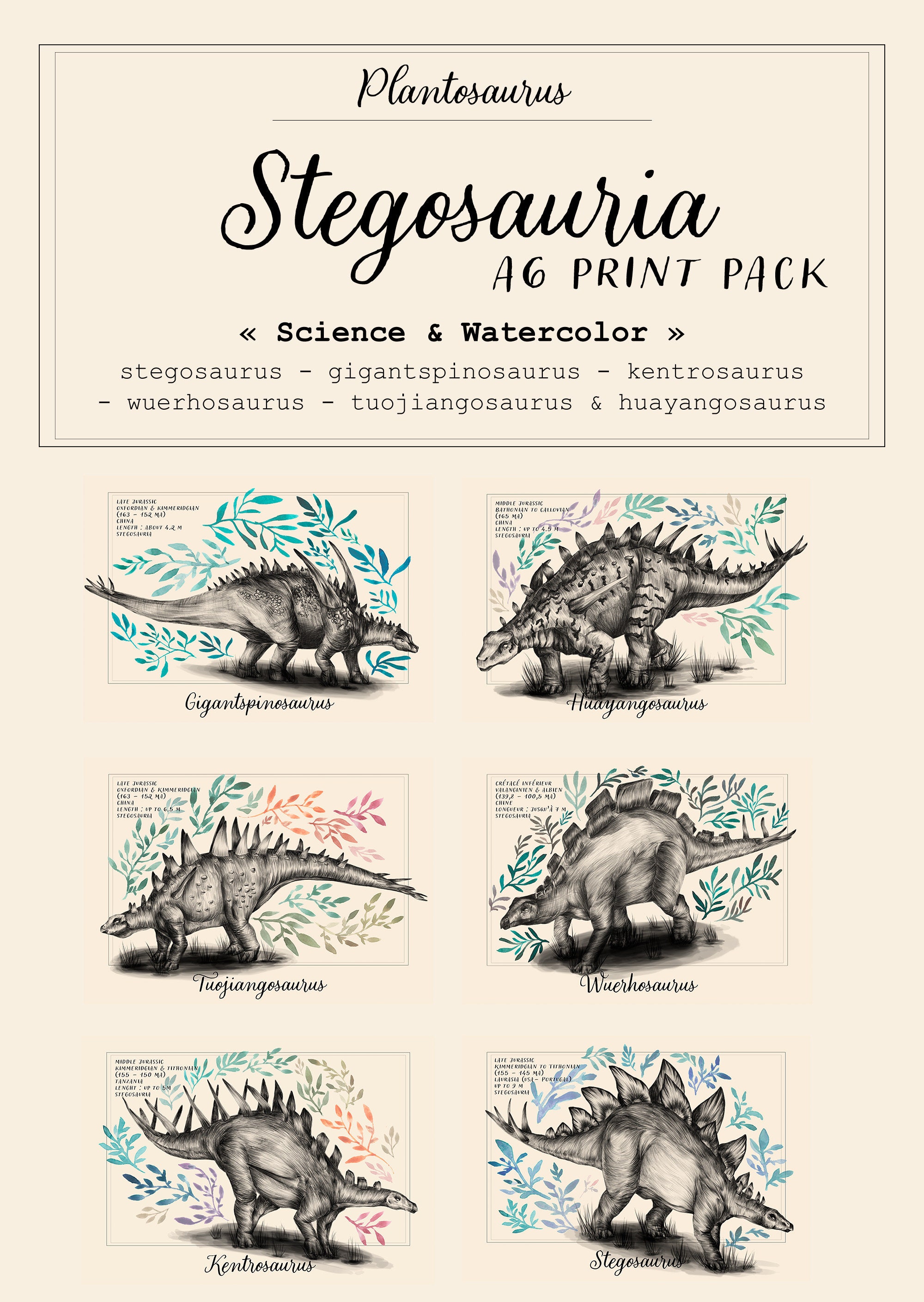 Full Pack Stegosauria science & Watercolor - Etsy