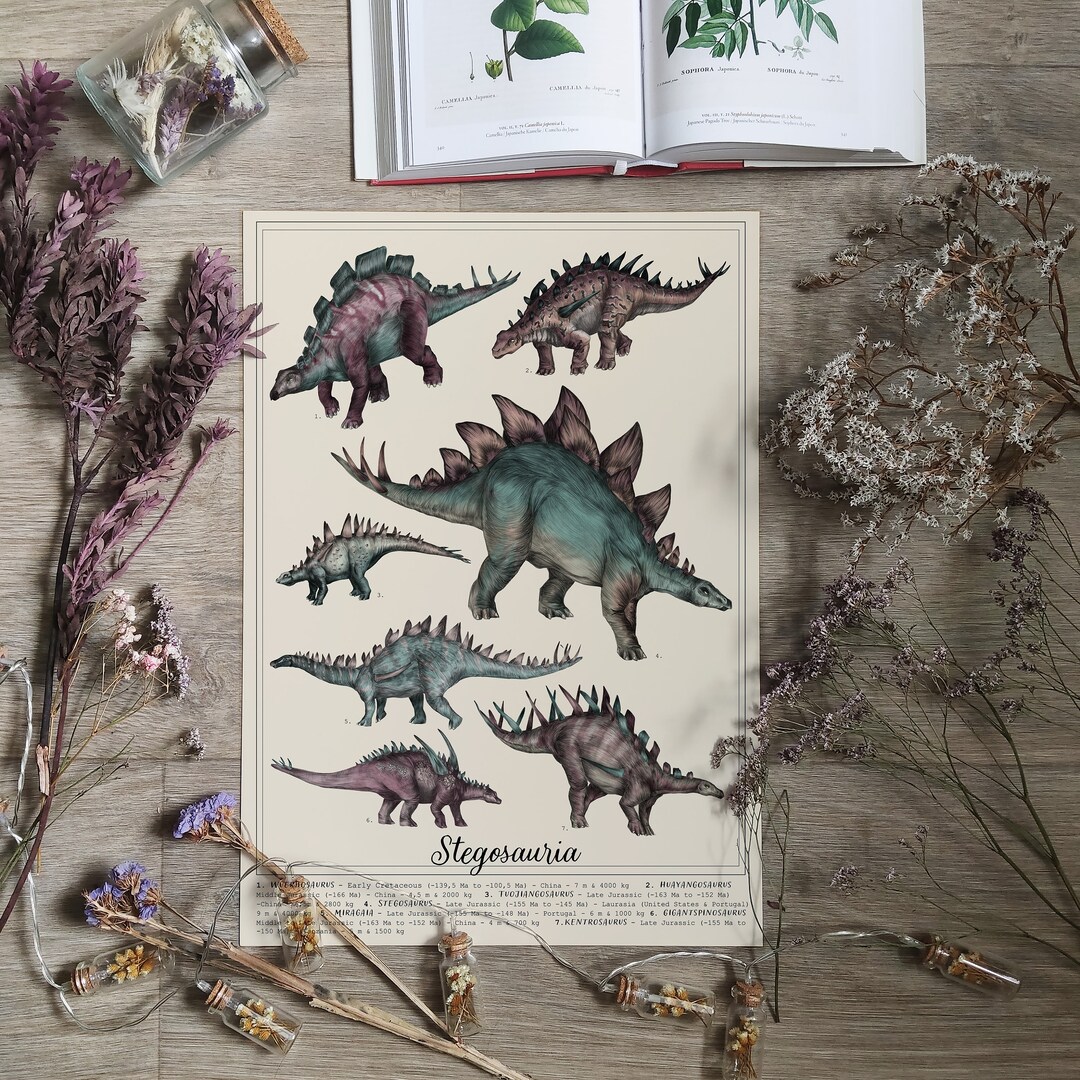 Stegosauria Natural History Poster (30x40cm & A4) - Etsy