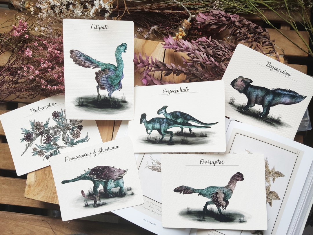 Full Pack Djadochta dinosaurs Only Collection A6 - Etsy