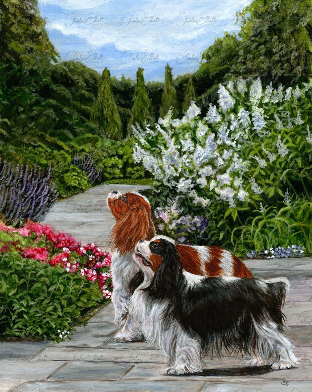 Cavalier King Charles Spaniel, Art Print by Charlene Elliott, Tri ...