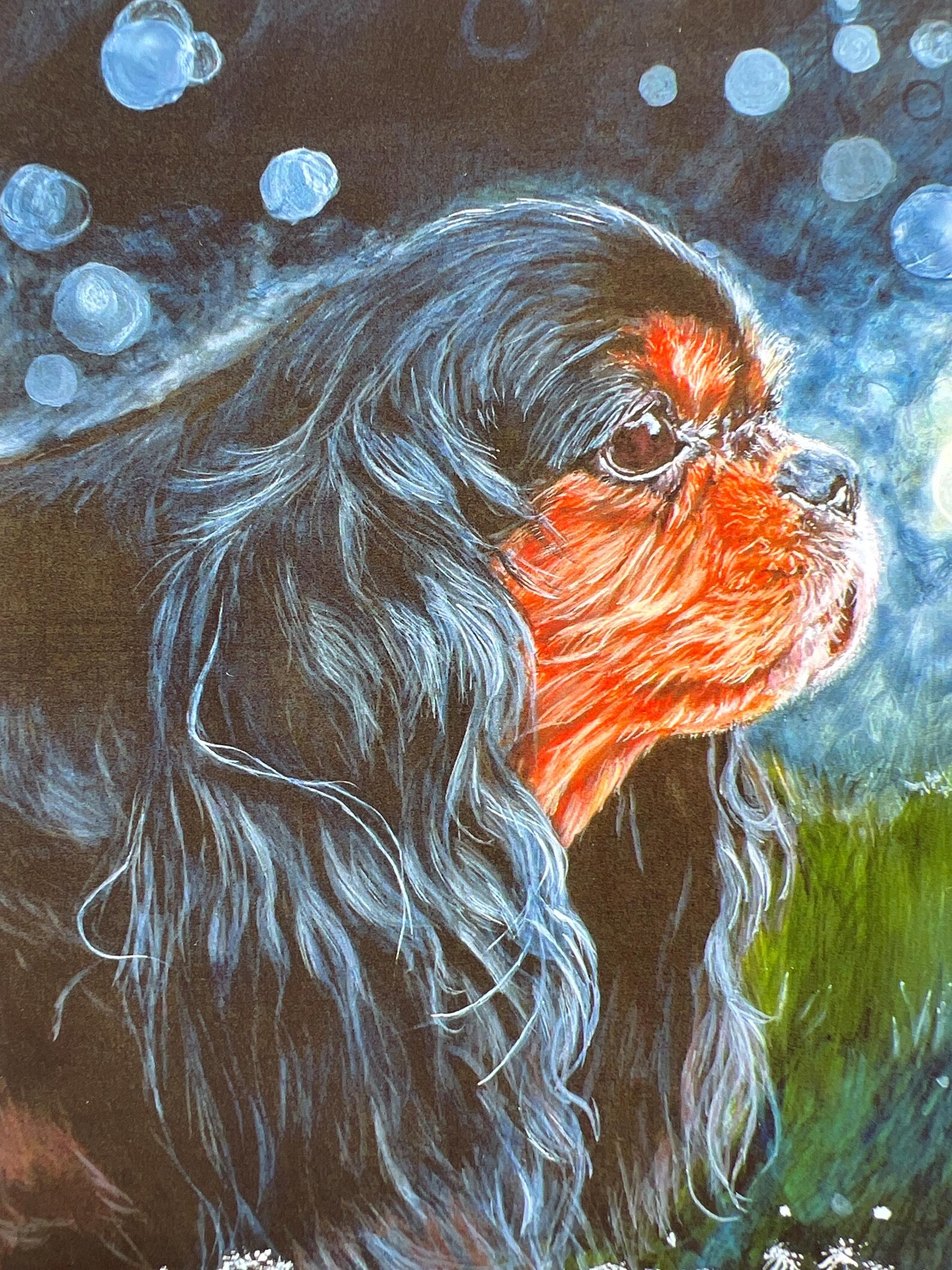 Cavalier King Charles Spaniel, Art Print by Charlene Elliott, Black ...