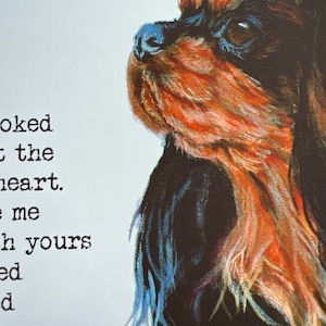 LARGE Print Cavalier King Charles Spaniel, 13 X 19 Art Print by ...