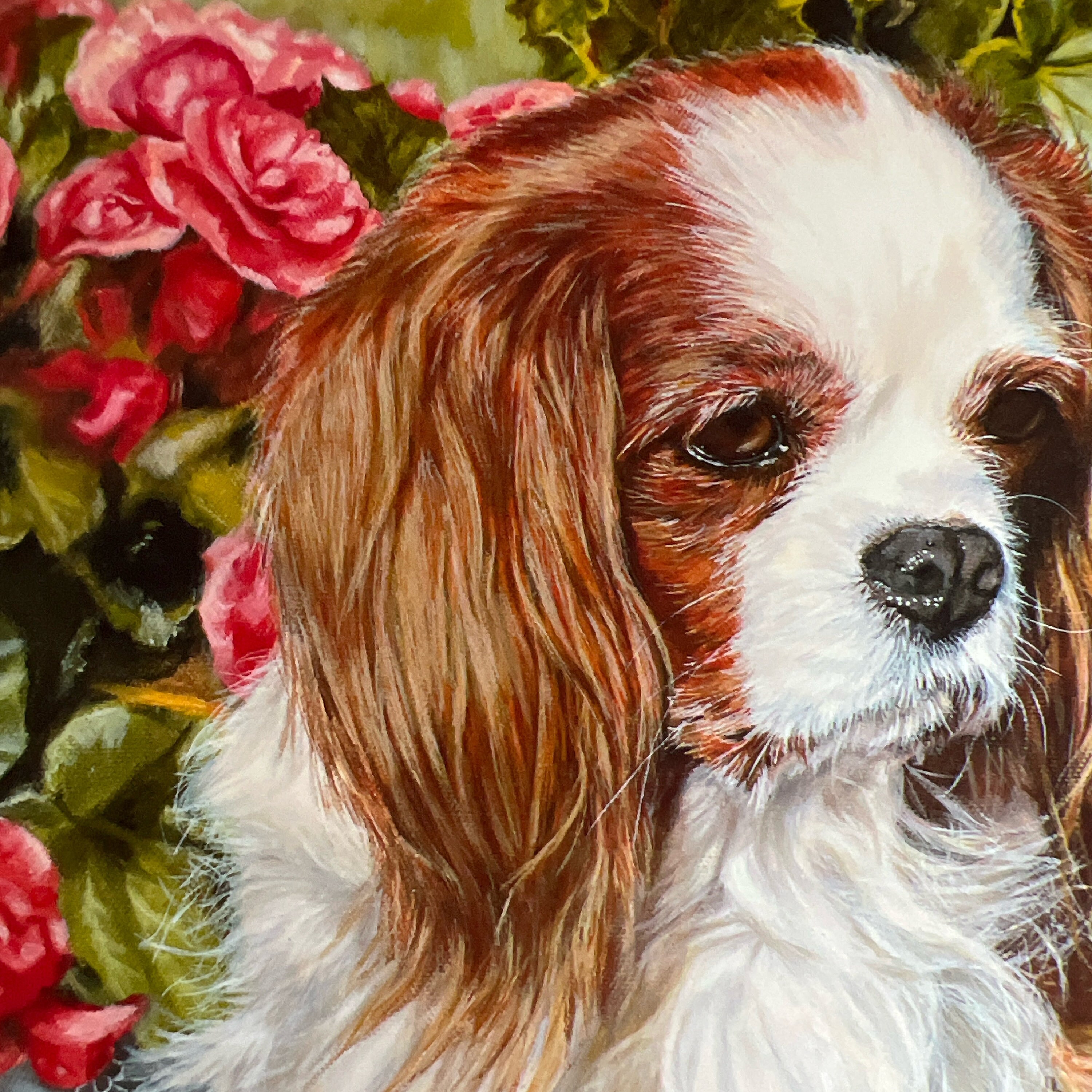 LARGE Print Cavalier King Charles Spaniel, 13 X 19 Art Print by ...
