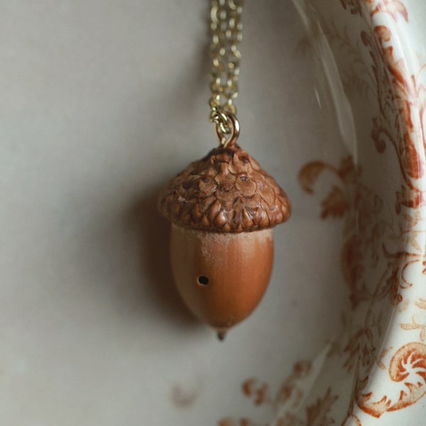 Real Acorn - Etsy