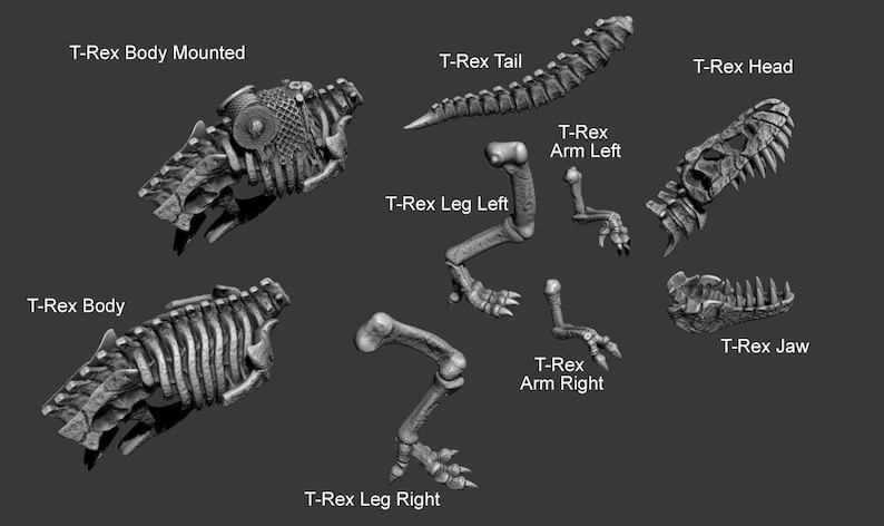 3D Printed Print Your Monster Skeleton Mounted T-rex 28 32mm D&D - Etsy