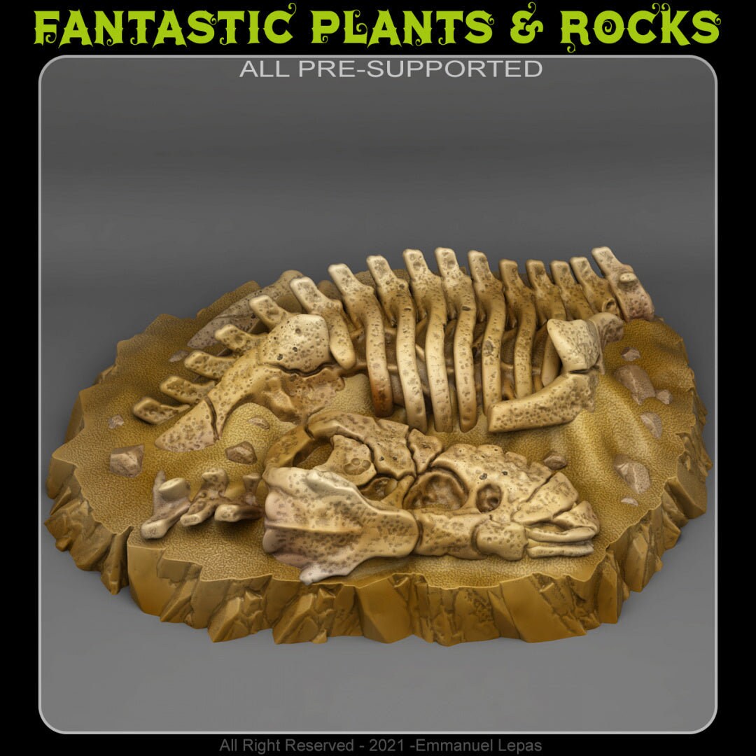 3D Printed Fantastic Plants and Rocks T-REX FOSSIL 28mm - 32mm D&D ...