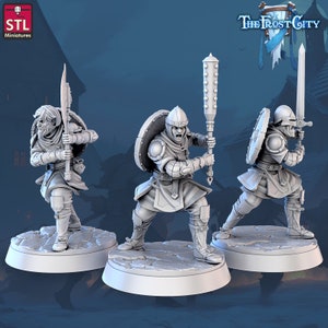 3D Printed STL Miniatures the Frost City Army Knights - Modular 28 - 32mm War Gaming D&D - Etsy
