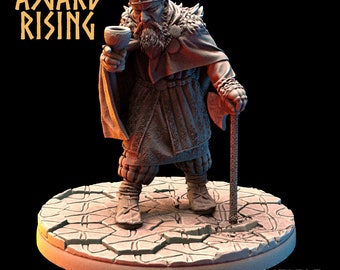 Viking Ranger E Asgard Rising Wargaming D&D Dnd - Etsy
