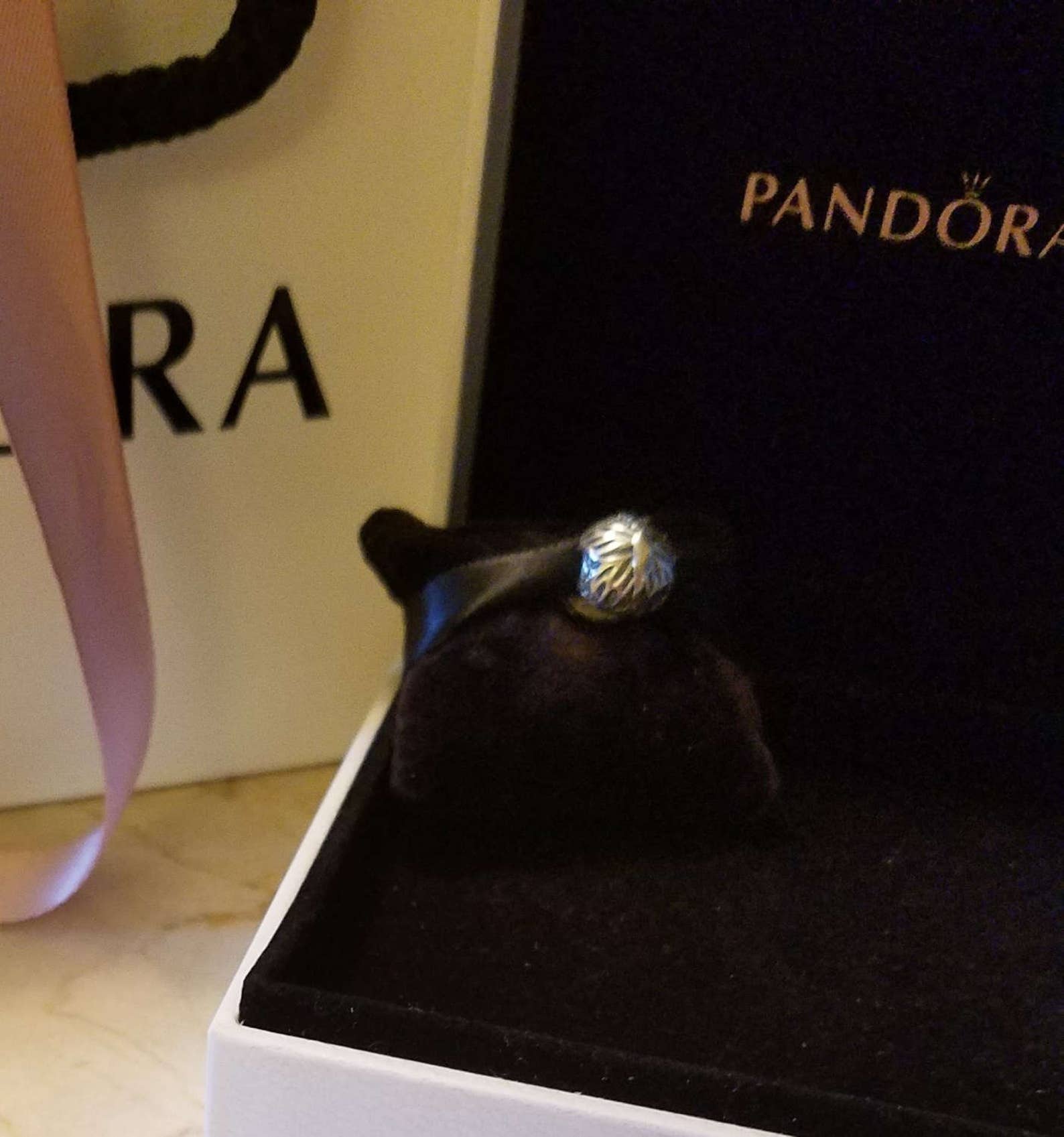 Authentic Genuine S925 ALE Pandora Sterling Silver Lacewing Butterfly ...