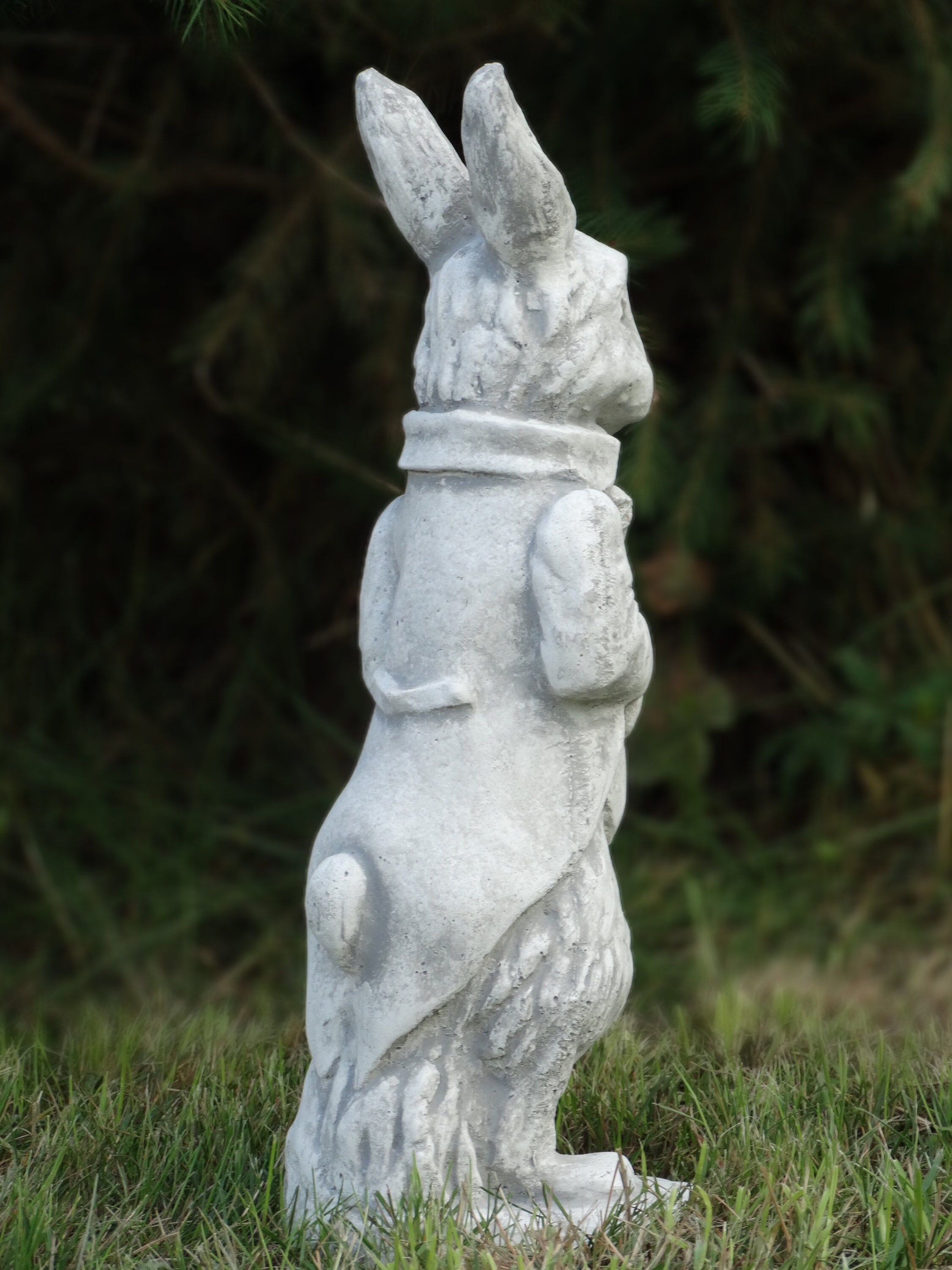 Peter Rabbit Statue Fairy Garden Decor Outdoor Sculpture Rabbit Figure ...