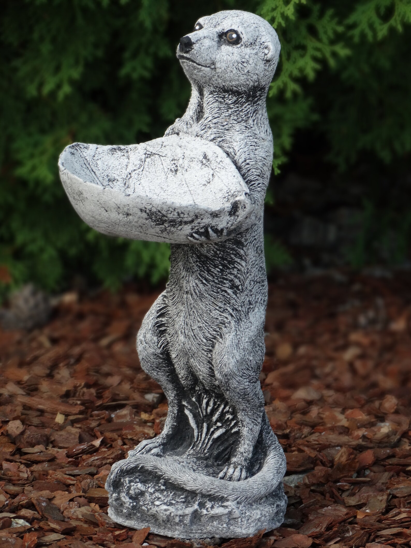 Meerkat Figurine Stone Meerkat With Bowl Outdoor Bird Bowl Concrete ...