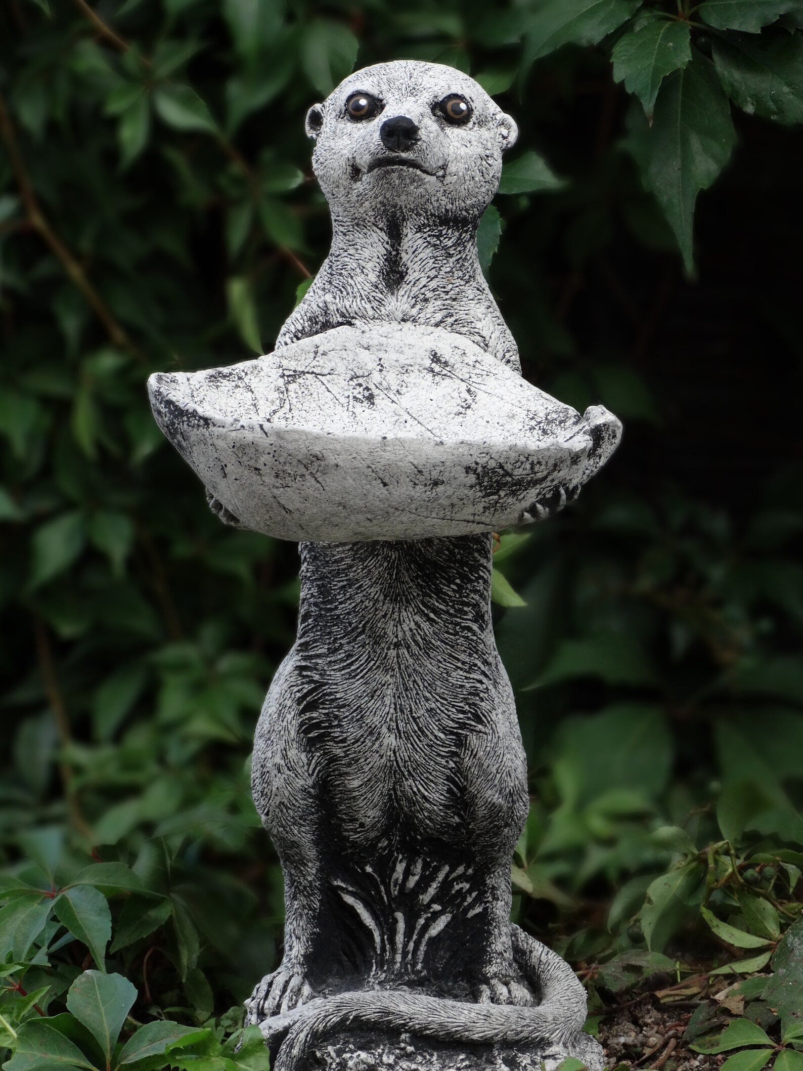Meerkat Figurine Stone Meerkat With Bowl Outdoor Bird Bowl Concrete ...