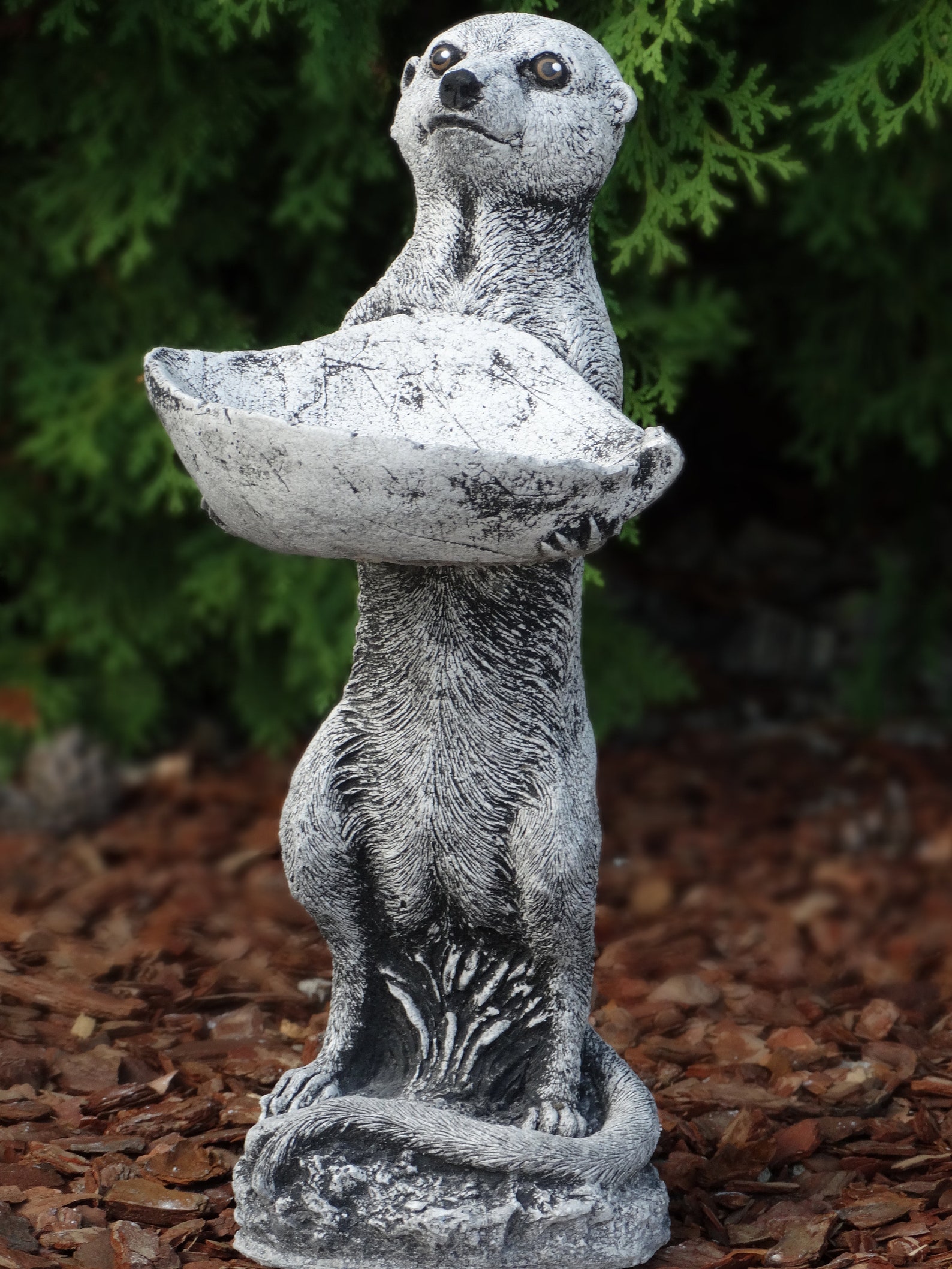 Meerkat Figurine Stone Meerkat With Bowl Outdoor Bird Bowl Concrete ...
