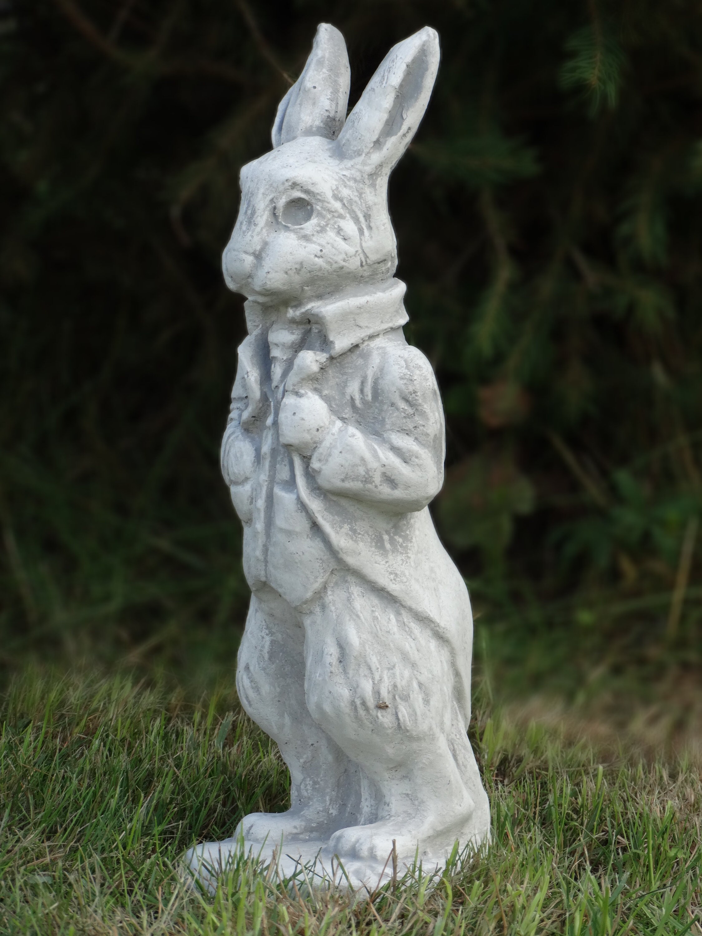 Peter Rabbit Statue Fairy Garden Decor Outdoor Sculpture Rabbit Figure ...