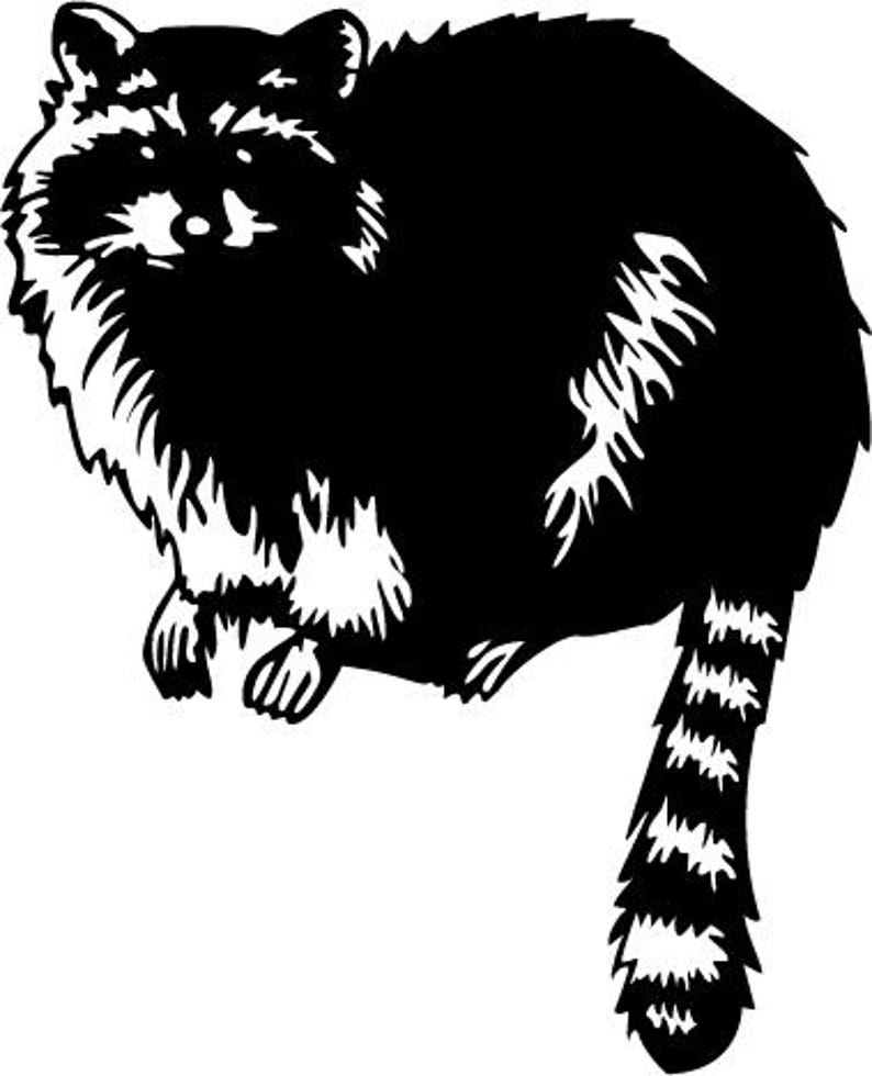 Raccoon Collection Cad Cut File - Etsy