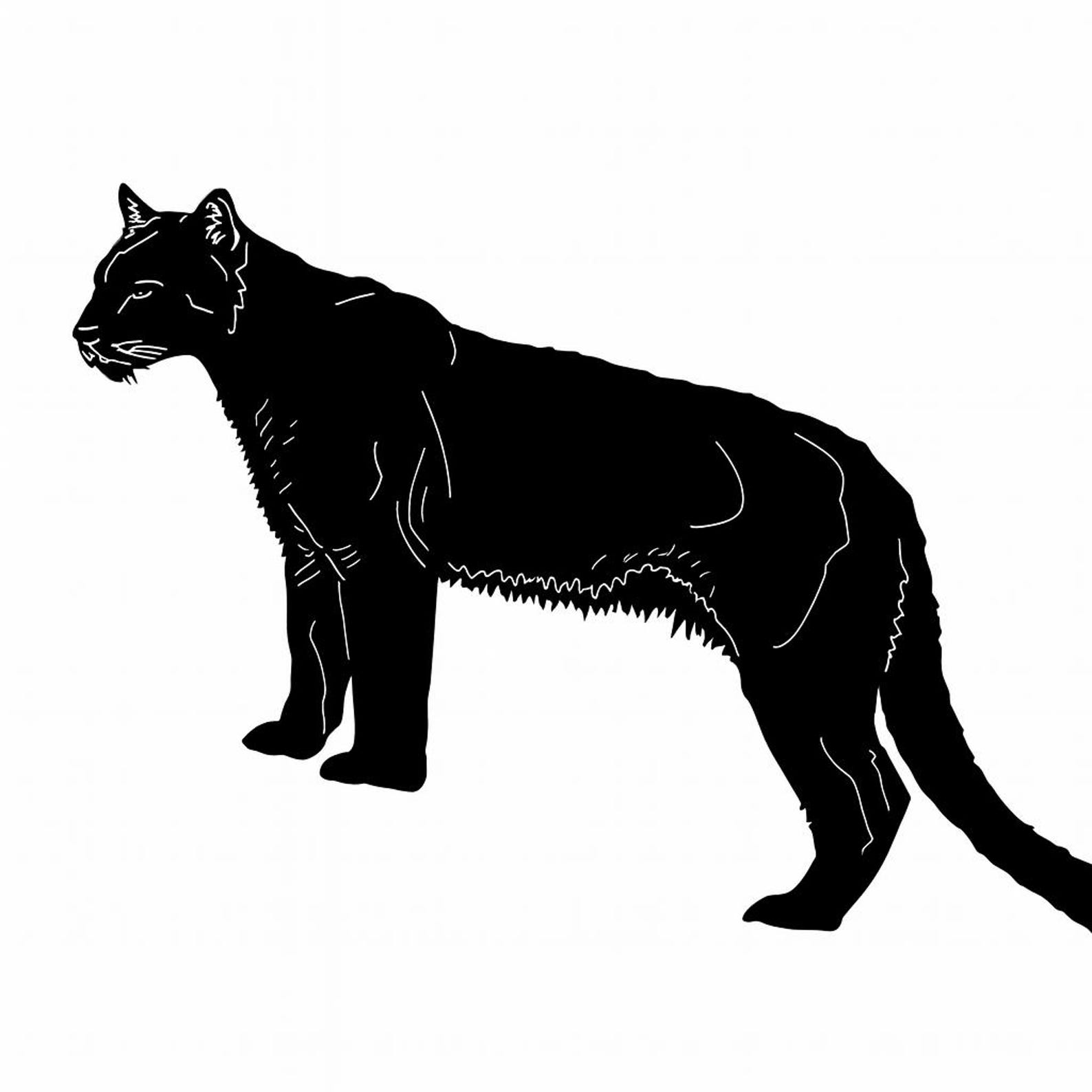 Mountain Lion Collection Cad Cut File - Etsy