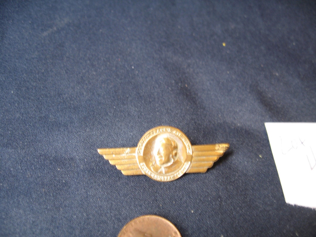 Flight Wing Badges, Captain Franks Air Patrol, Squadron Leader Badge ...