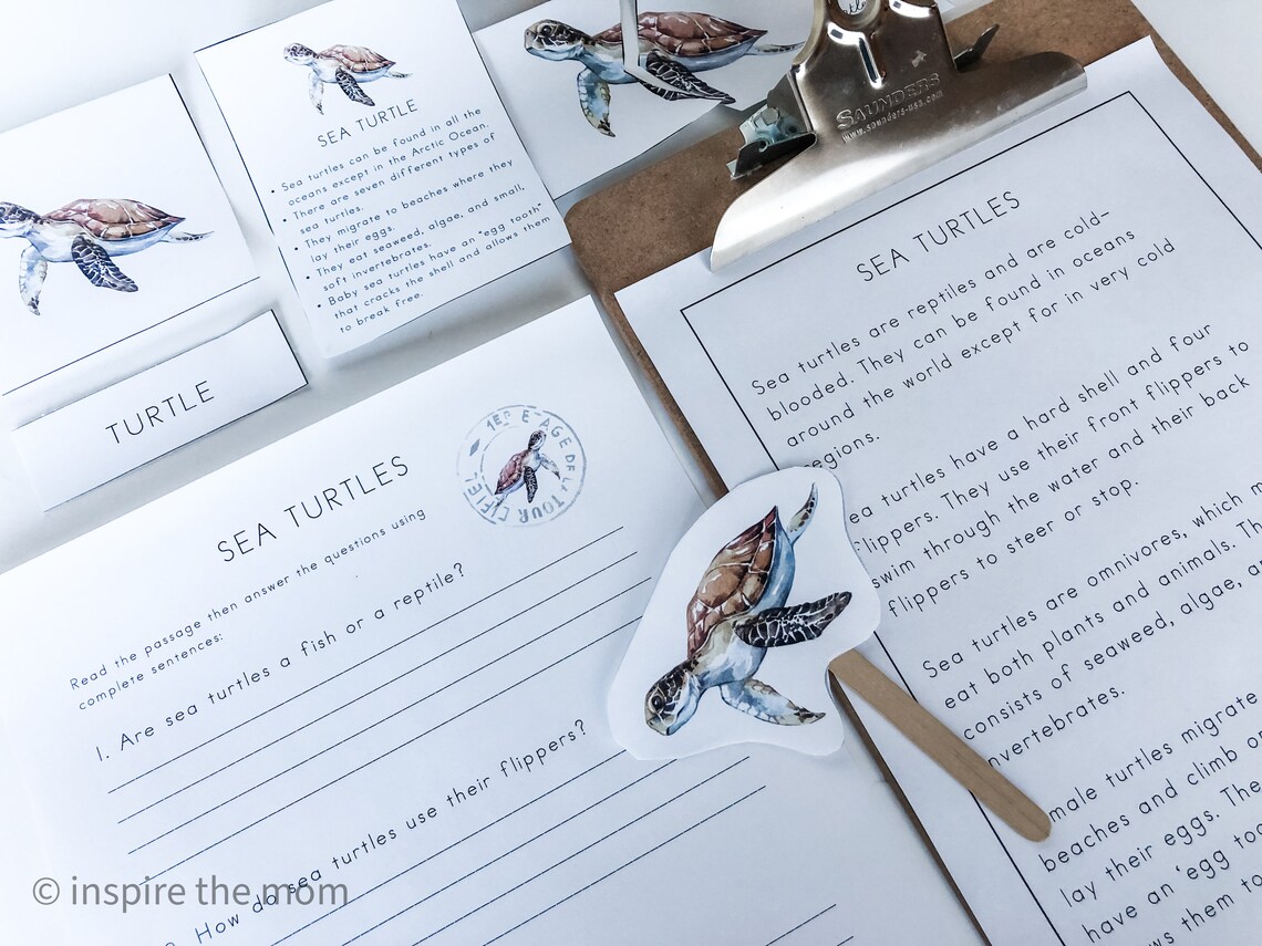 Ocean Animals Unit Study for Kids | Prek–2nd Science | Nature ...