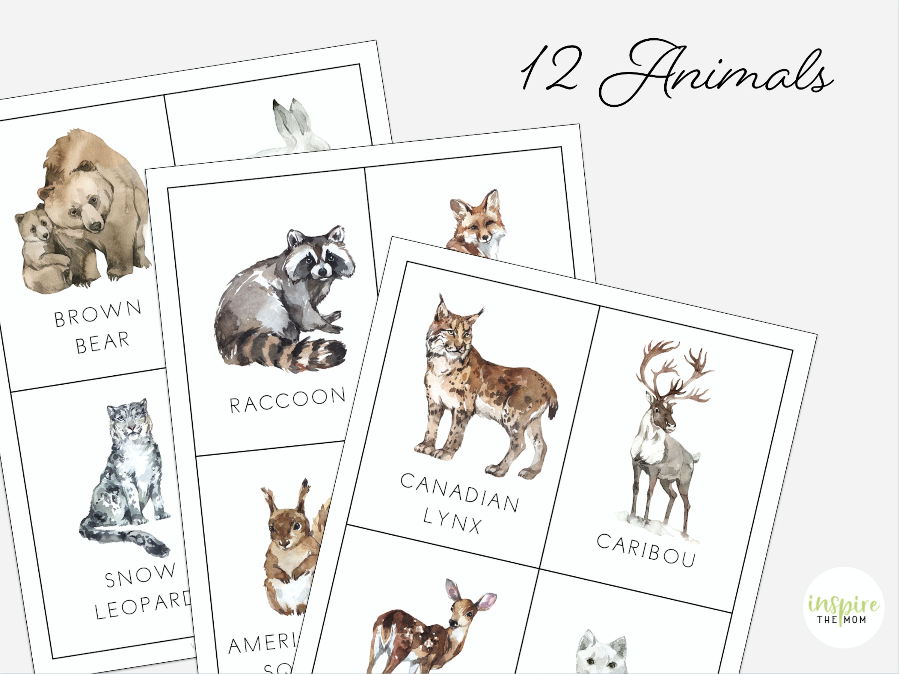 Winter Animals Flashcards, and Winter Animals Poster, Science Printable ...