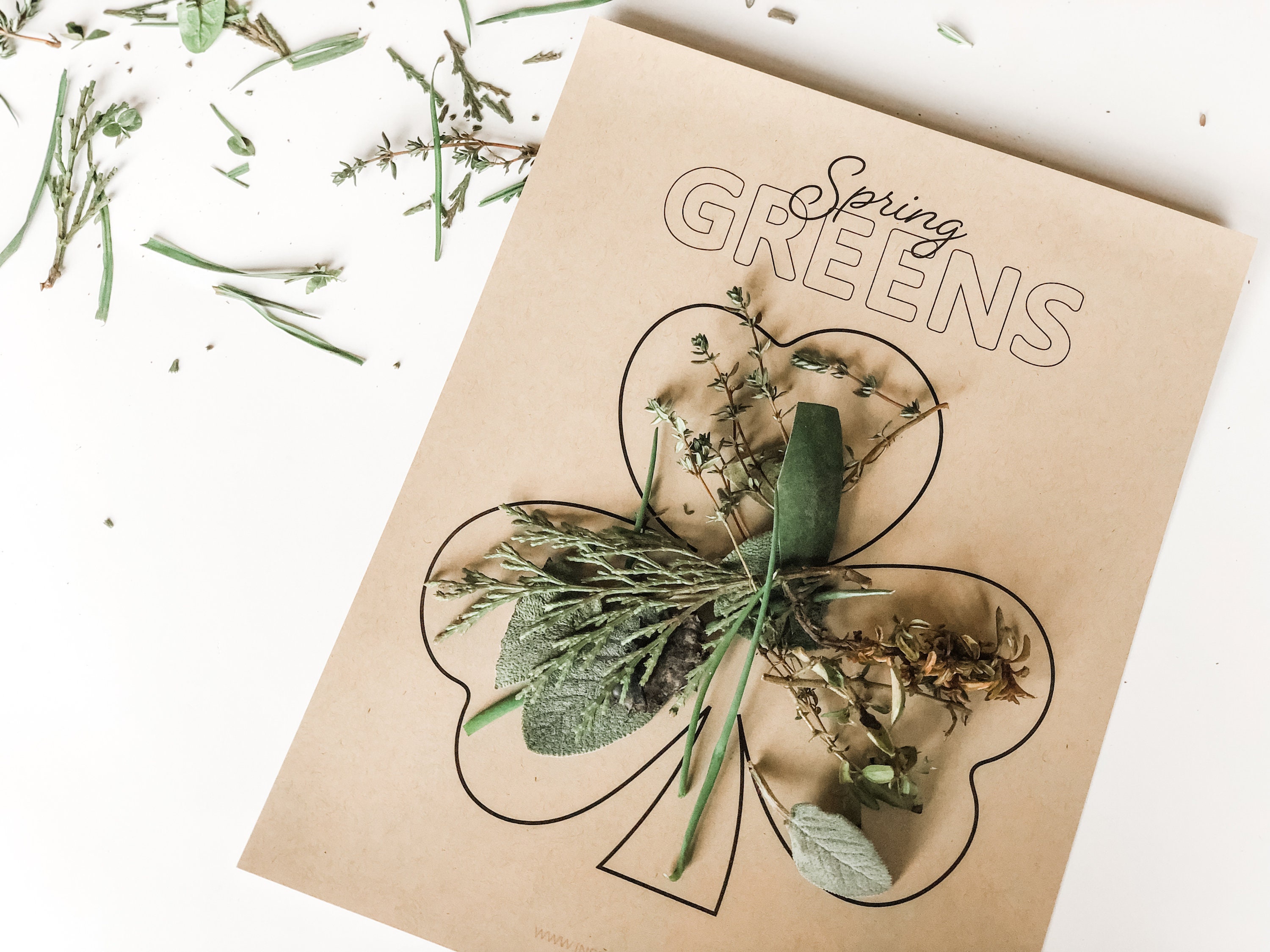 Spring Greens Nature Craft Template, Shamrock Craft, Nature Study ...