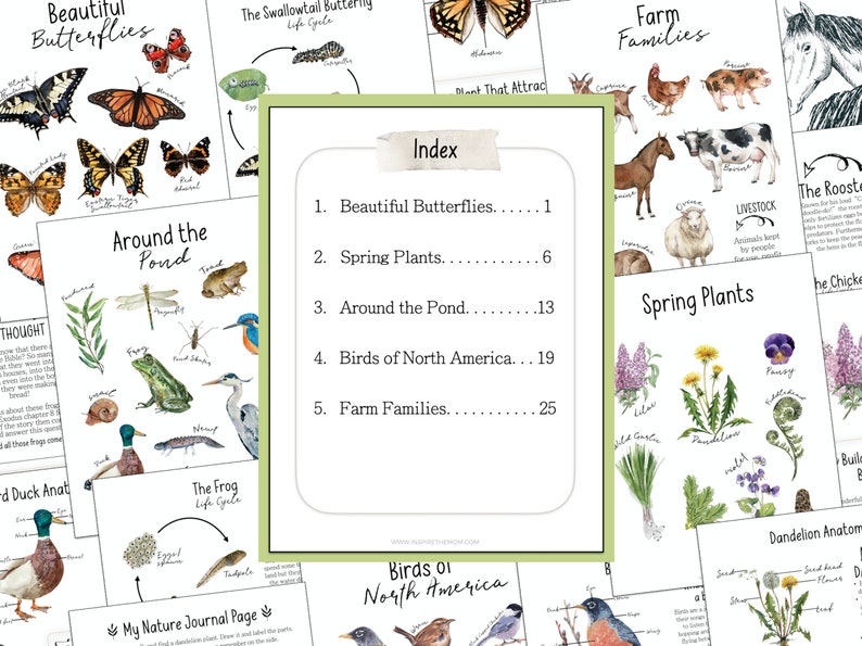Spring Nature Journal for Kids, Nature Study, Science Curriculum ...