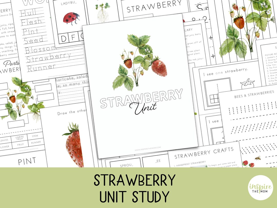 Strawberry Unit Study | Life Cycle | Poem Activities | Spring and ...