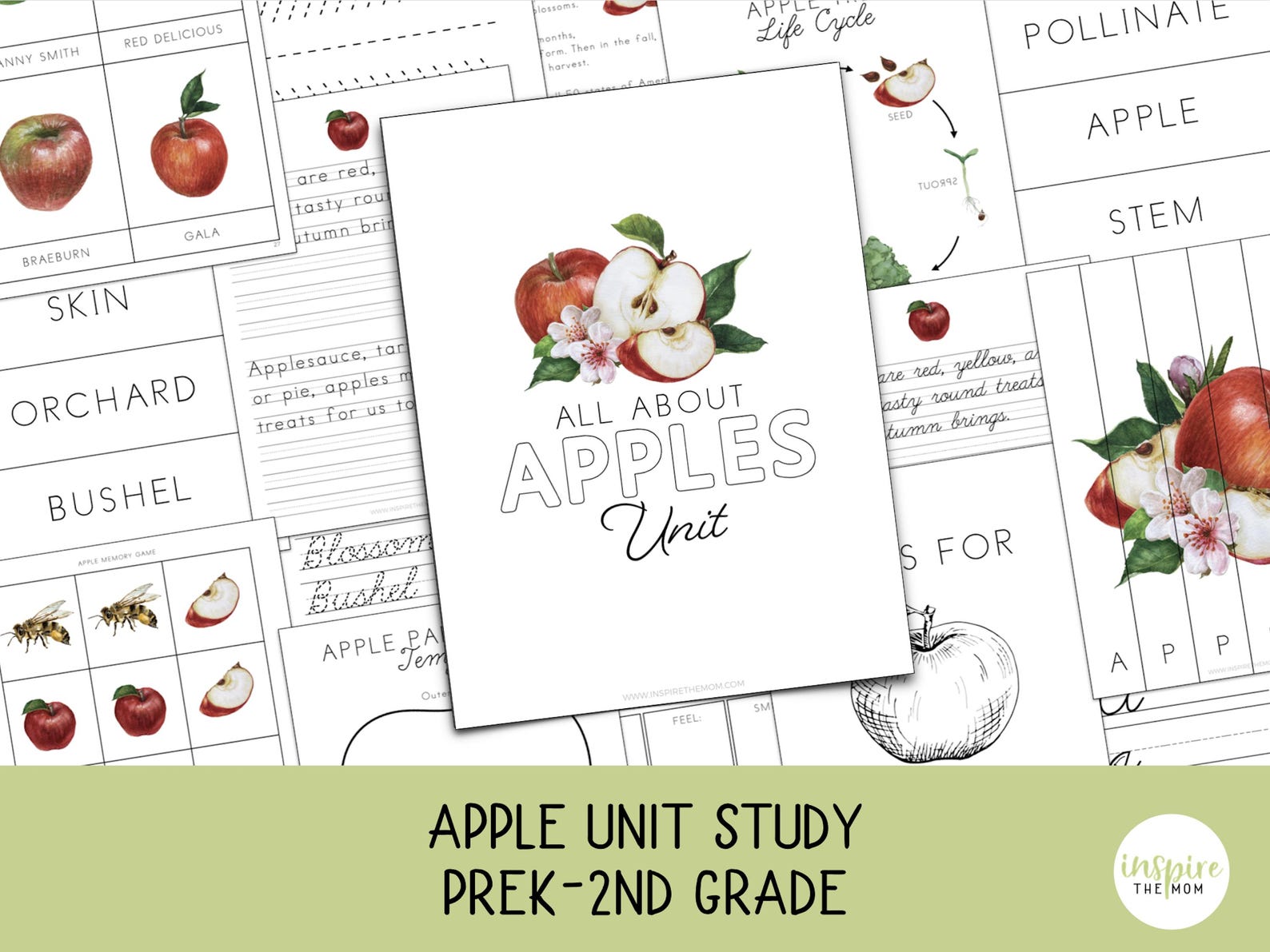 Apple Unit Study | Fall Nature Printables for Prek–2nd | Homeschool or ...