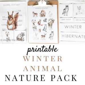Winter Animals Unit, Nature Study, Homeschool Printable, Prek - 2nd ...