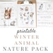 Winter Animals Unit, Nature Study, Homeschool Printable, Prek - 2nd ...