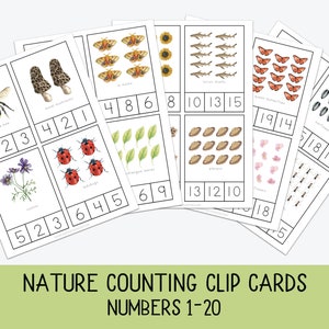 Preschool Nature Counting Clip Cards, Numbers 1-20, Charlotte Mason ...
