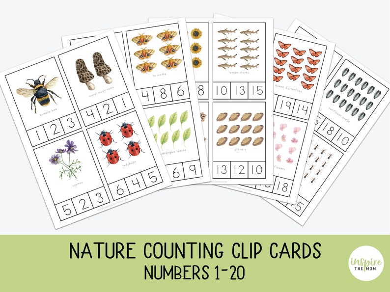 Preschool Nature Counting Clip Cards, Numbers 1-20, Charlotte Mason ...